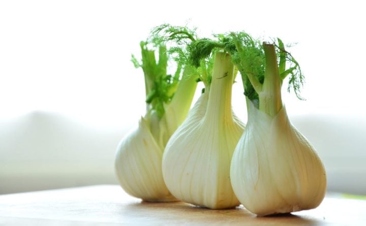 Seasonal Food Spotlight: Fennel Recipe - Well Vegan